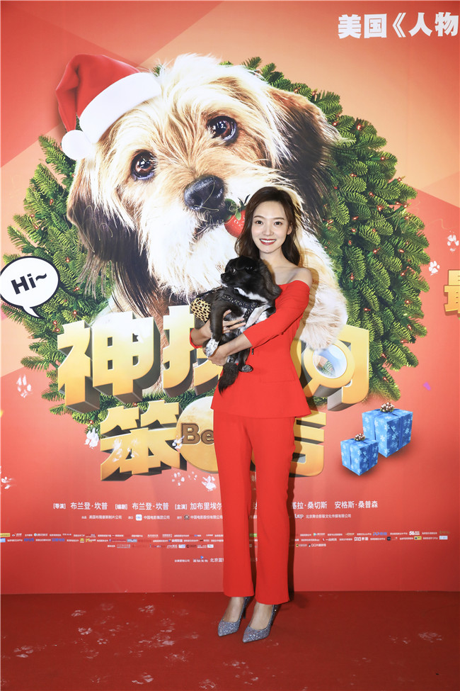众星携百只萌汪走红毯 神探狗笨吉首映欢乐多 中工娱乐 中工网