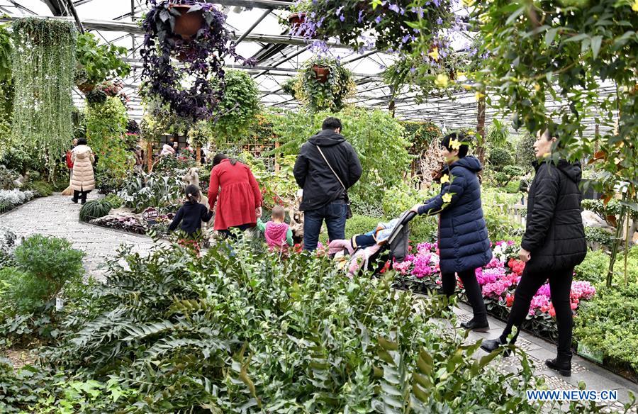 People visit Beijing Garden of World's Flowers on last day of Spring ...