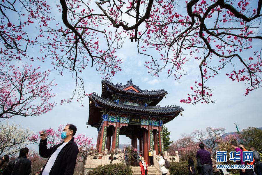 Berbagai Tempat Tiongkok Masuki Musim Semi-CRI