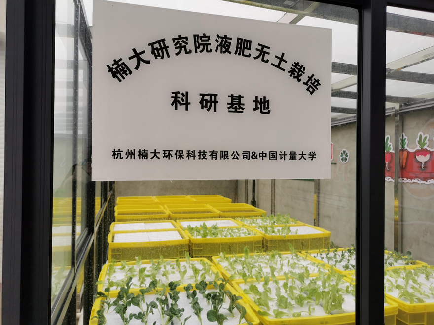 Tonglu, Zhejiang: Converting Perishable Waste into Liquid Fertilizer