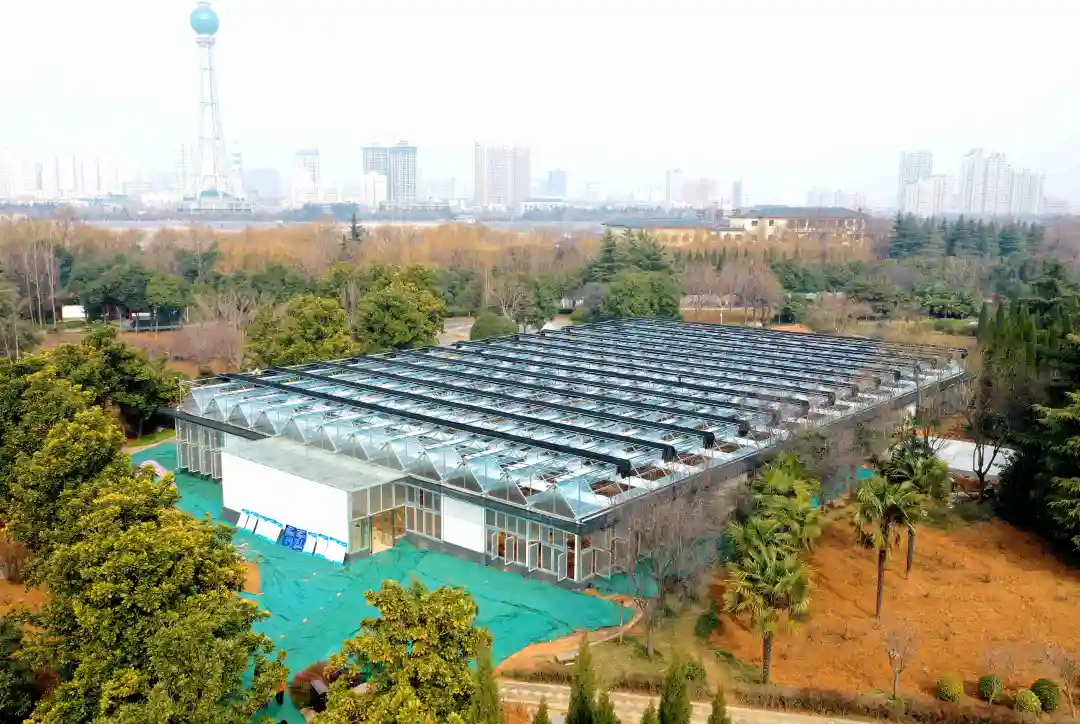 Luoyang's New Internet-Famous Scenic Attraction: This Year’s Peony ...