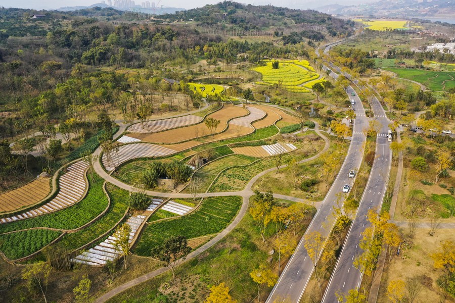 Guangyang Isle: A Demonstration of Green Development in SW China's ...