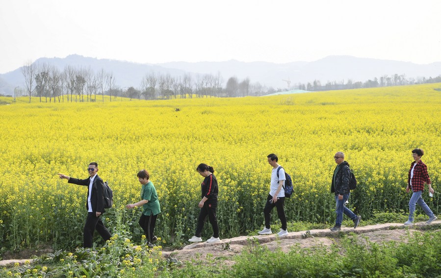 Guangyang Isle: A Demonstration of Green Development in SW China's ...