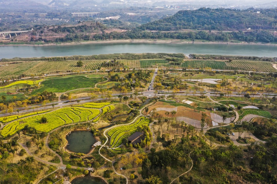Guangyang Isle: A Demonstration of Green Development in SW China's ...