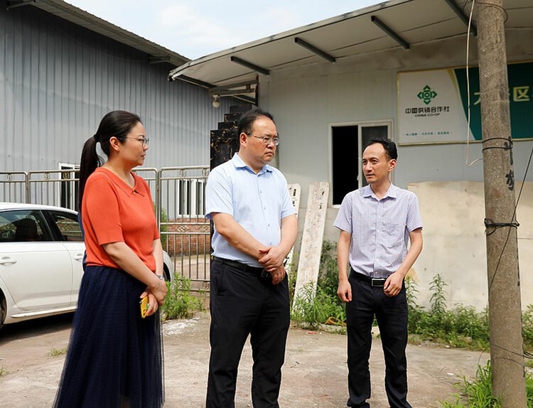 自贡市大安区委书记彭长林调研督导生态环境保护工作 国际在线