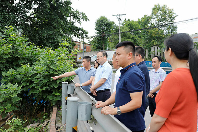 自贡市大安区委书记彭长林调研督导生态环境保护工作 国际在线