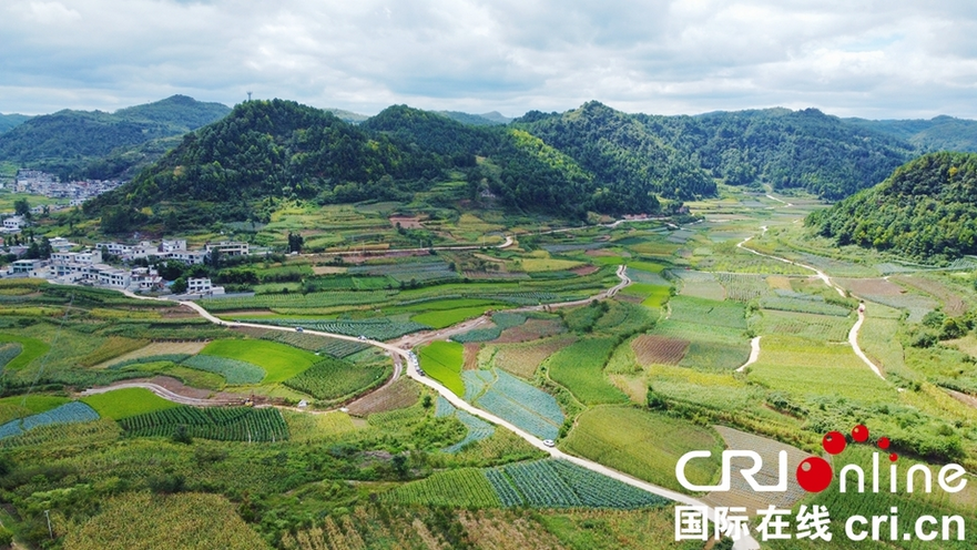 Guizhou Xiuwen: Busy with Autumn Harvest