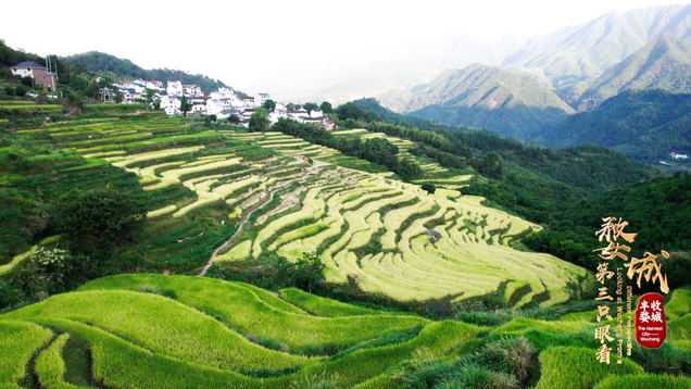 2019 Wuhan Marathon will kick off on April 14th