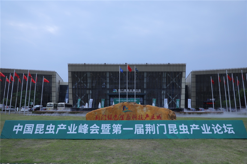 China Insect Industry Summit Held in Jingmen, Hubei
