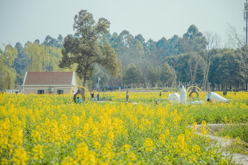 2023 Tianfu Spring Festival Flower Show Comes to an End