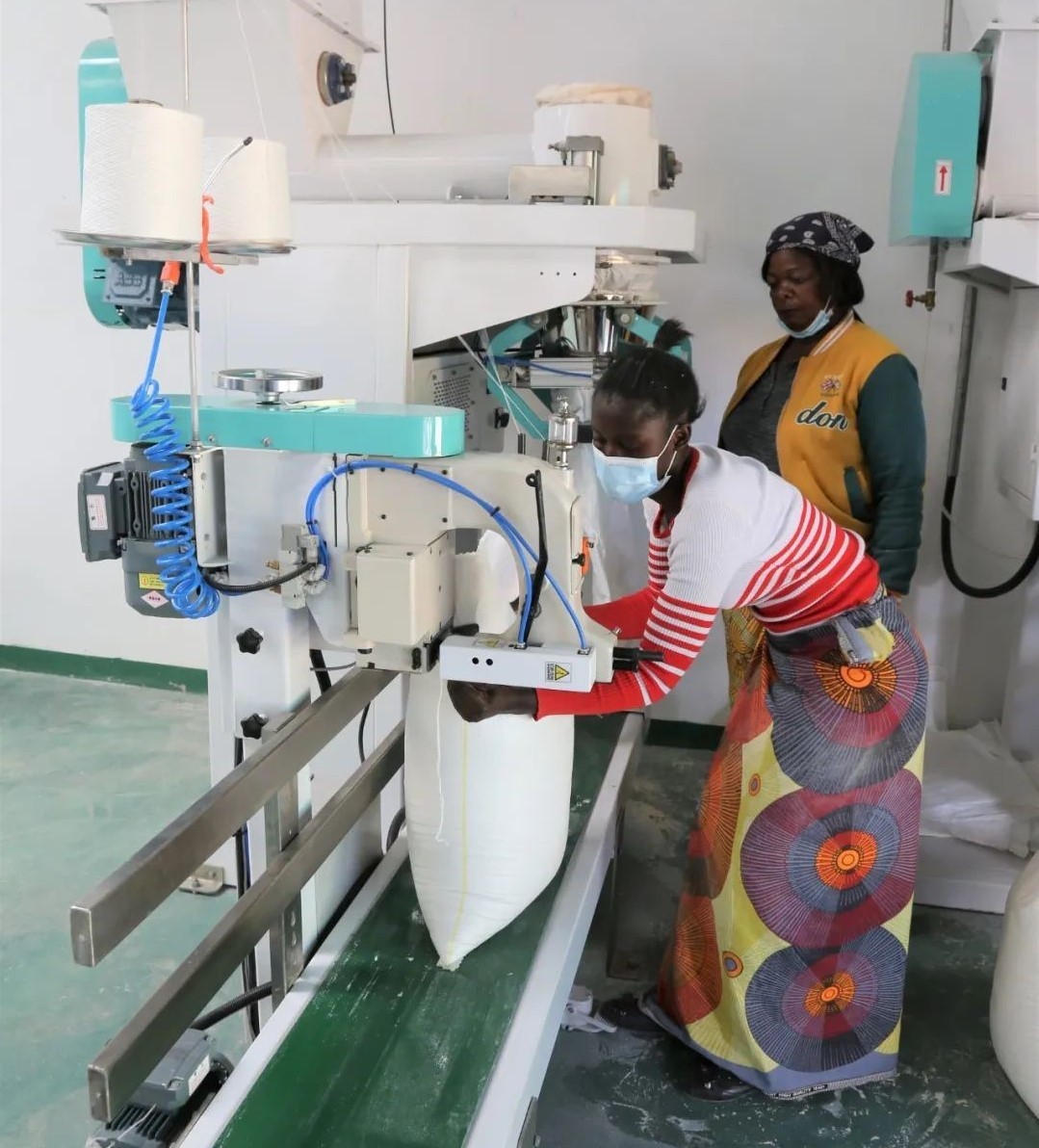 直通使领馆 | 中国驻赞比亚大使杜晓晖 ：全面战略合作伙伴关系擘画中赞发展新蓝图 - 国际在线移动版