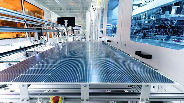 Tongwei Group Making the List of Global Fortune 500 Companies Again-国际在线