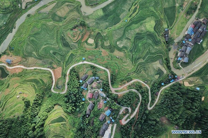 Scenery of Wuniangxi terraced field in SW China's Guizhou