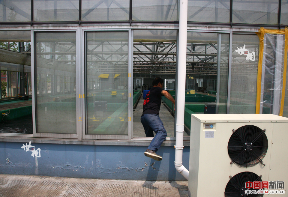 我为锦鲤狂-国际在线